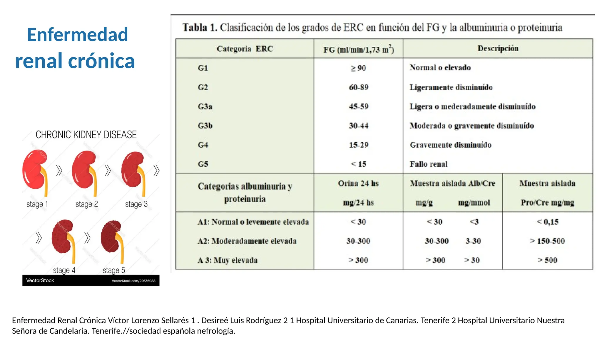 anticoagulantes EN ENFERMEDAD RENAL CRONICA en erc.pptx