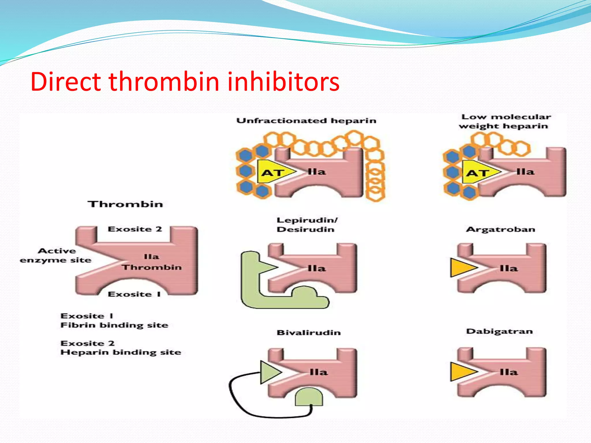 Anticoagulants | PPTX | Blood Disorders | Diseases and Conditions