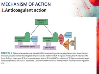 Anticoagulants | PPTX