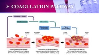 Anticoagulants | PPTX