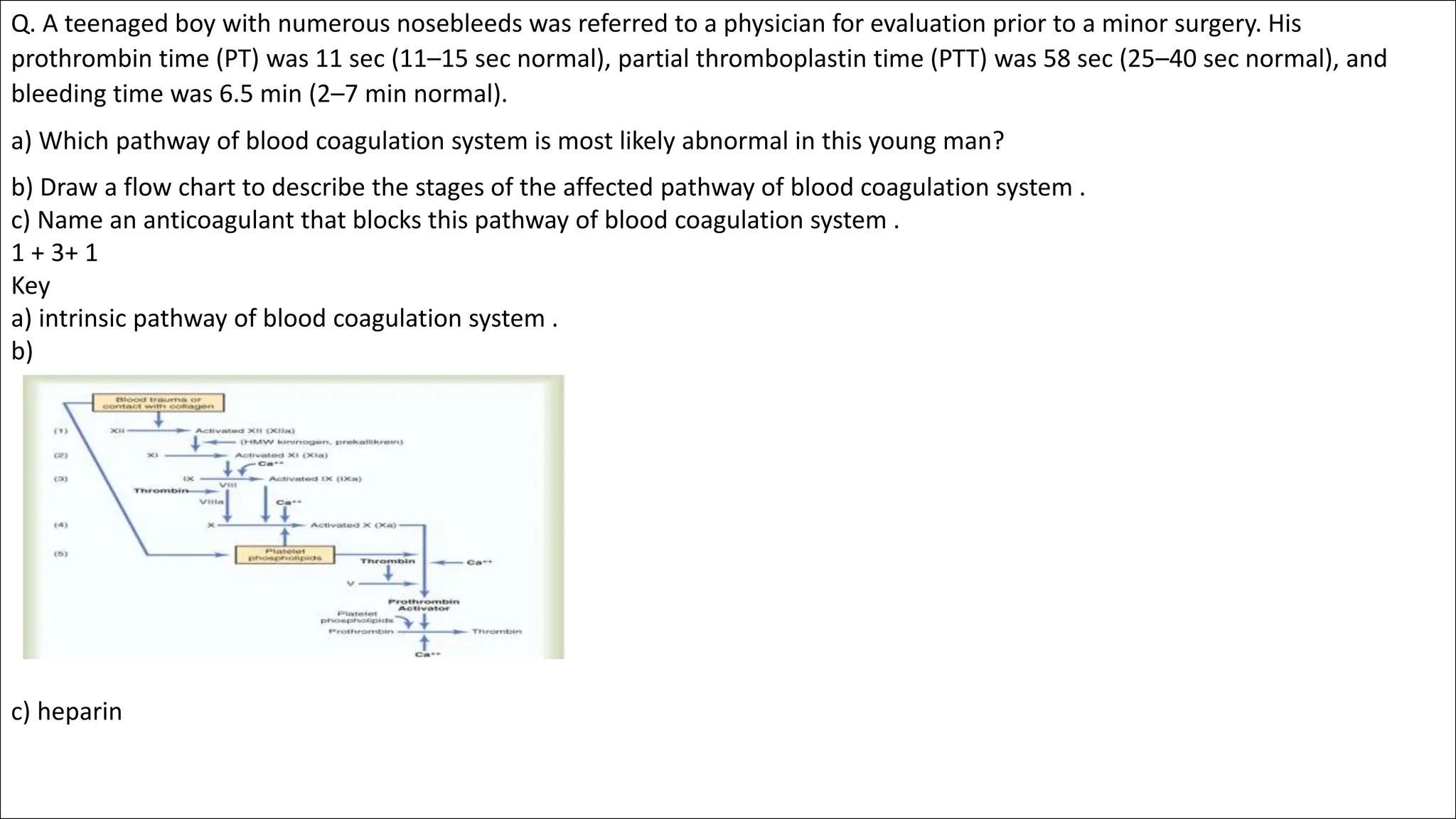 anticoagulants of blood. An overview. .pptx