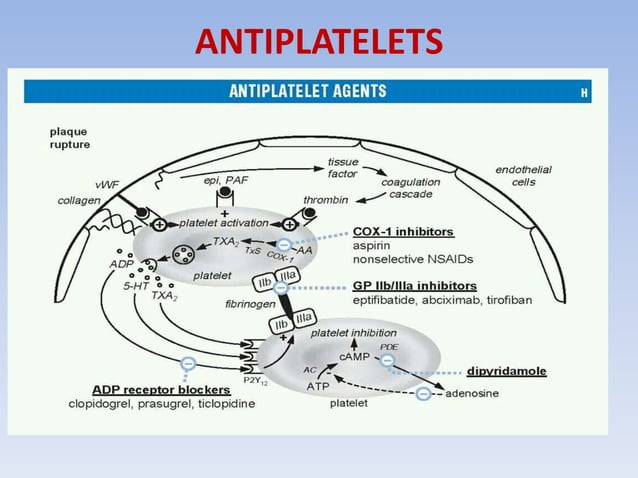 Anticoagulants, antiplatelet drugs and anesthesia | PPTX | Blood ...
