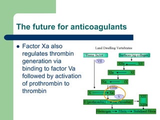 Anticoagulants_DanielleWelschmeyer.ppt