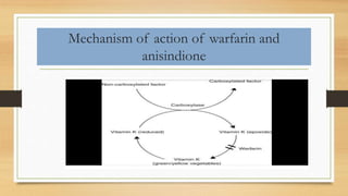 ANTICOAGULANTS ppt.pptx | Blood Disorders | Diseases and Conditions