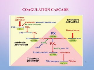 Anticoagulants | PPTX
