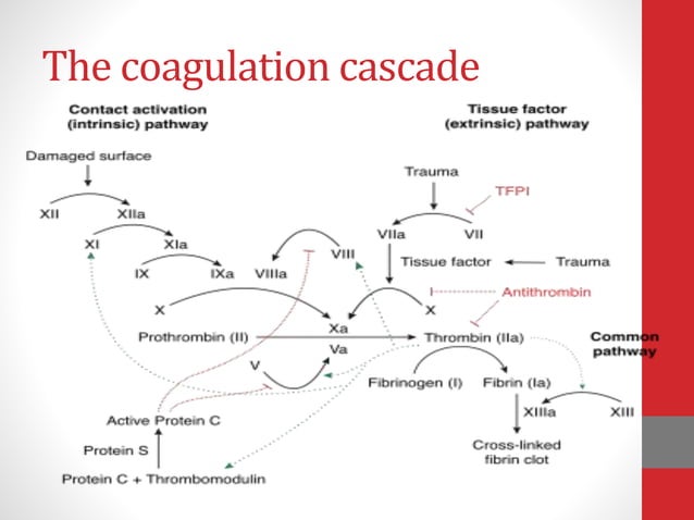 Anticoagulation | PPTX