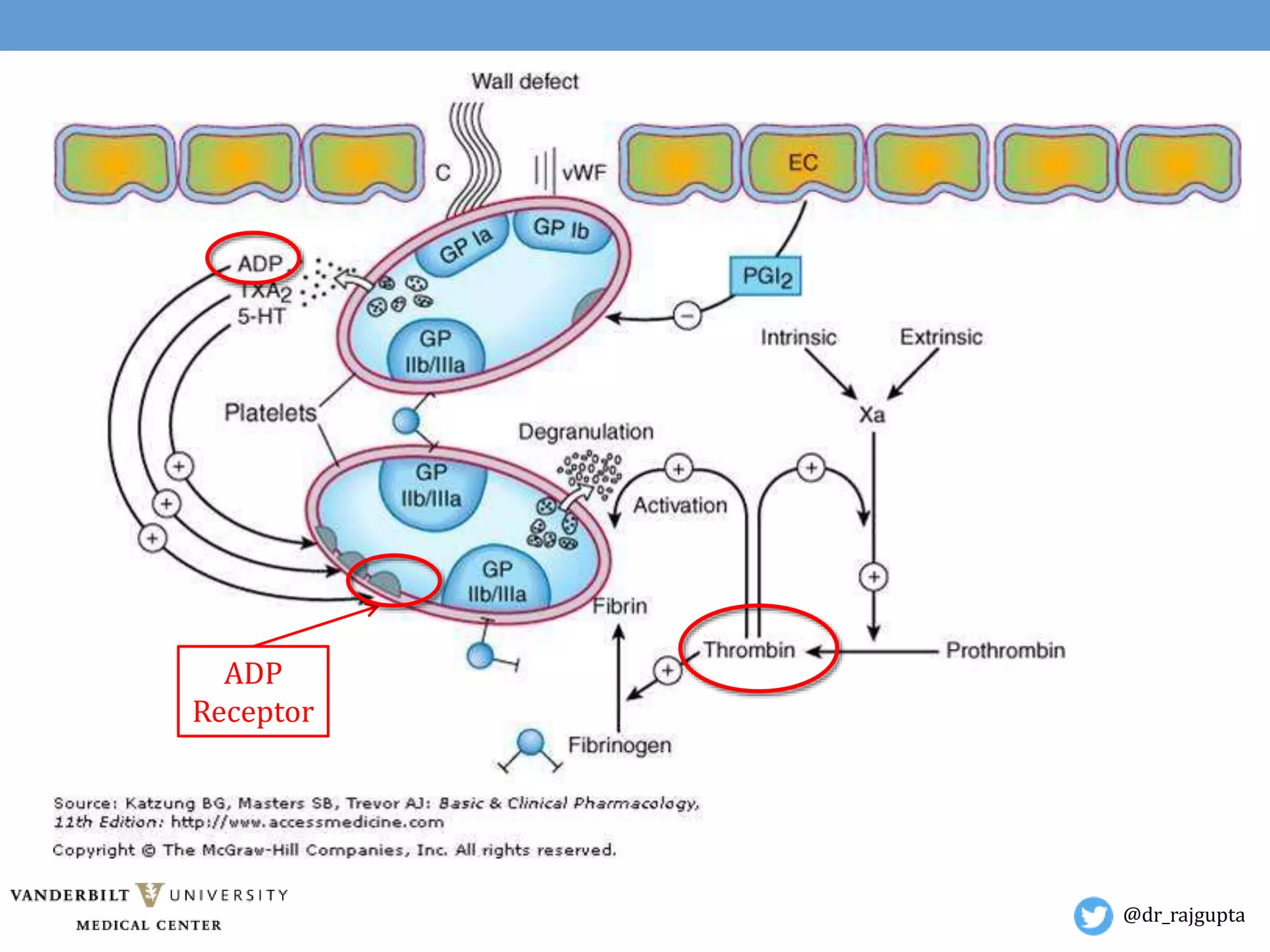 Anticoagulation and Regional Anesthesia | PPTX