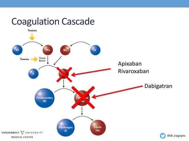 Anticoagulation and Regional Anesthesia | PPTX | First Aid | Injuries