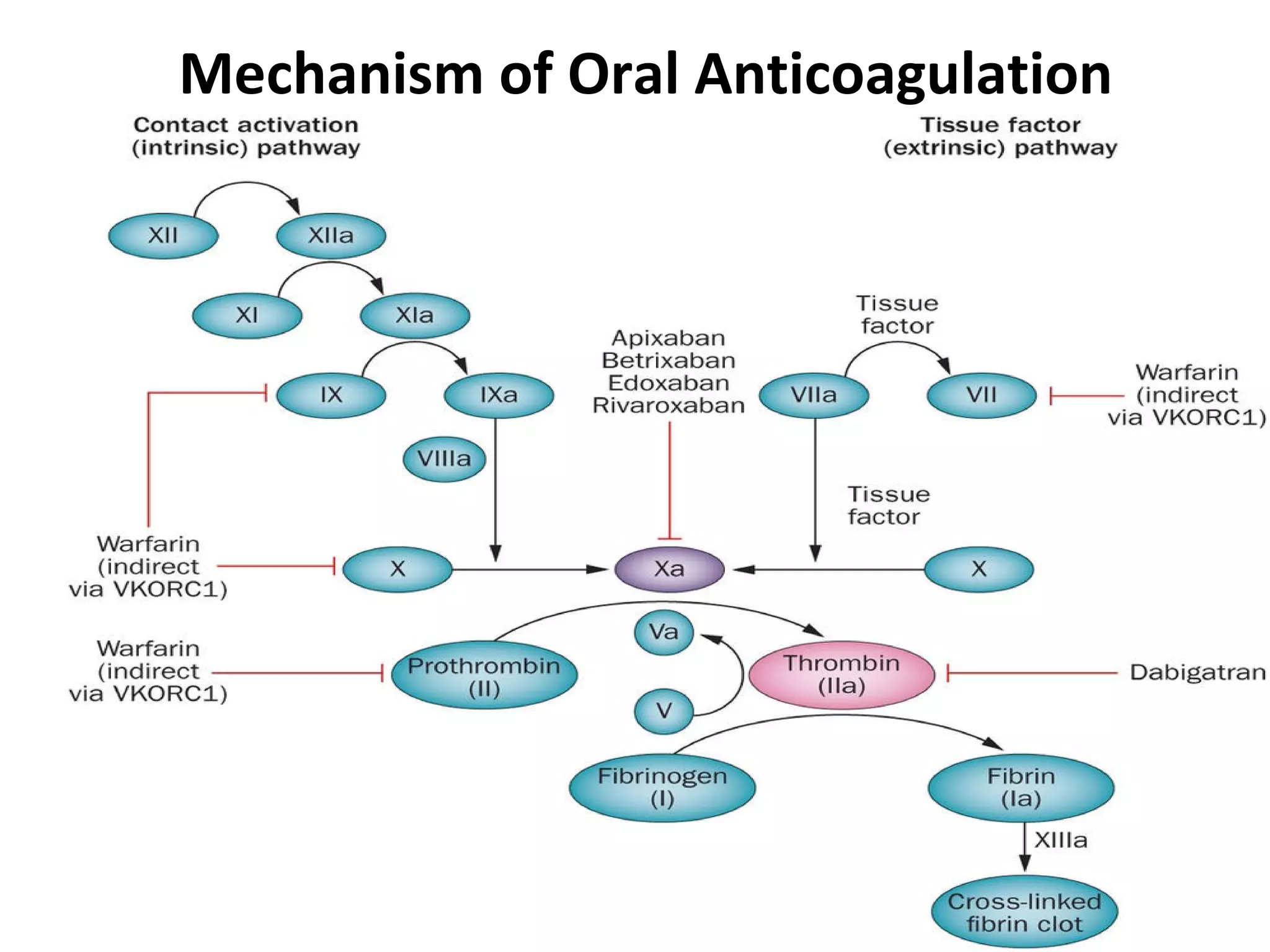 Anticoagulation in chronic kidney disease dr. mohsen el kossi | PPT