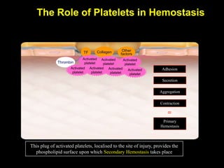 Anticoagulation part 1 (thrombophilia) | PPTX