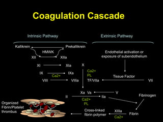Anticoagulation part 1 (thrombophilia) | PPTX