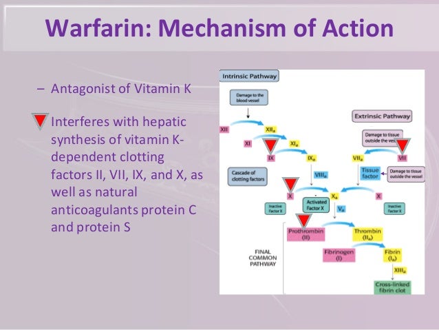 Anticoagulation Pharmacology