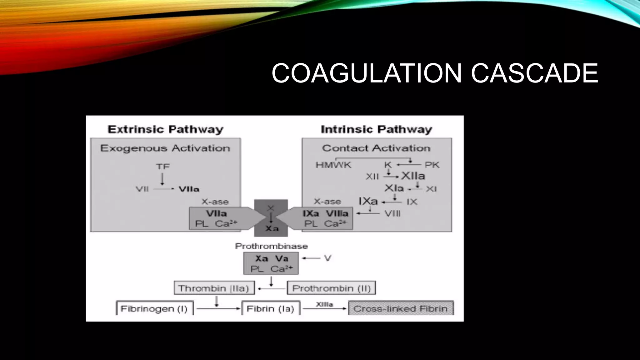 anticoagulation therapy.pptx