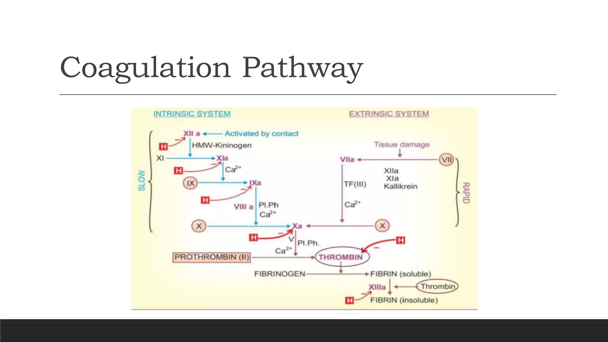 Anti coagulation when and where to use - Dr Krishna S.pptx