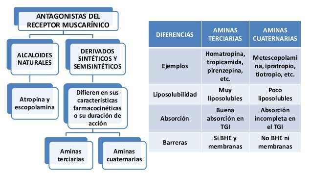 Farmacología: Anticolinérgicos