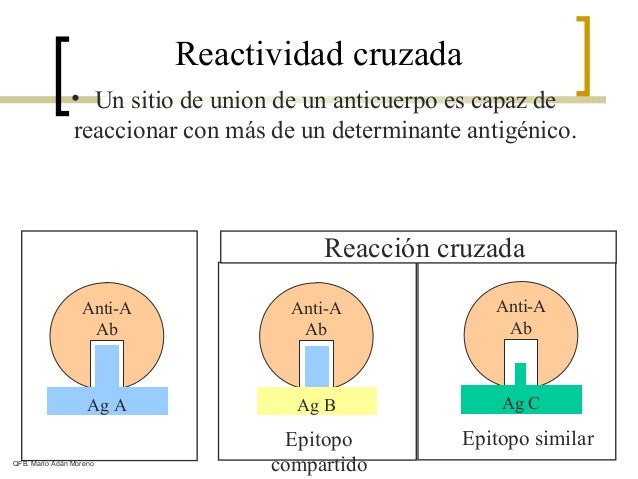 Anticuerpos