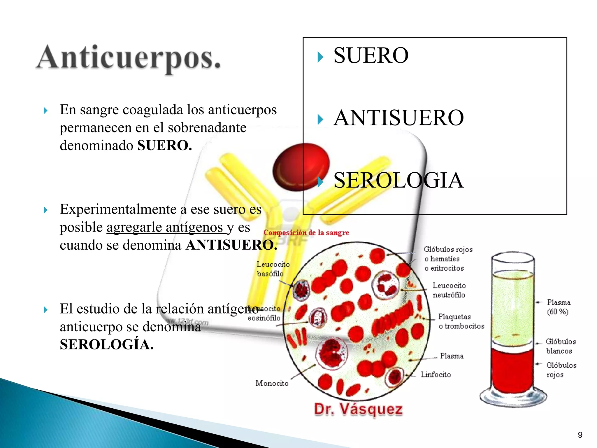 Anticuerpos micro | PPTX