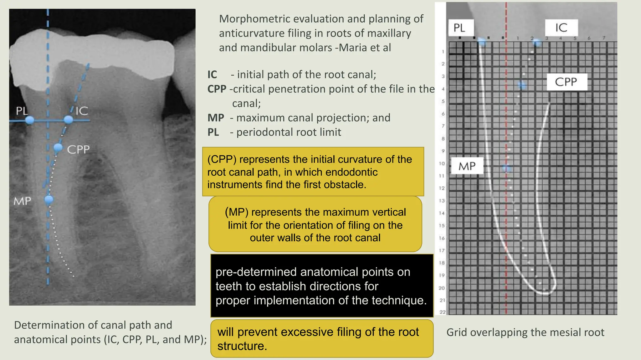 ANTICURVATURE FILING TECHNIQUE ENDO.pptx