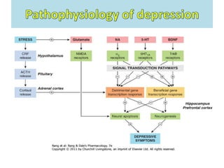 Drug Therapy of Depression | PDF