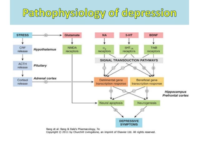 Drug Therapy of Depression