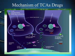 Anti depressant and its classifications | PPT