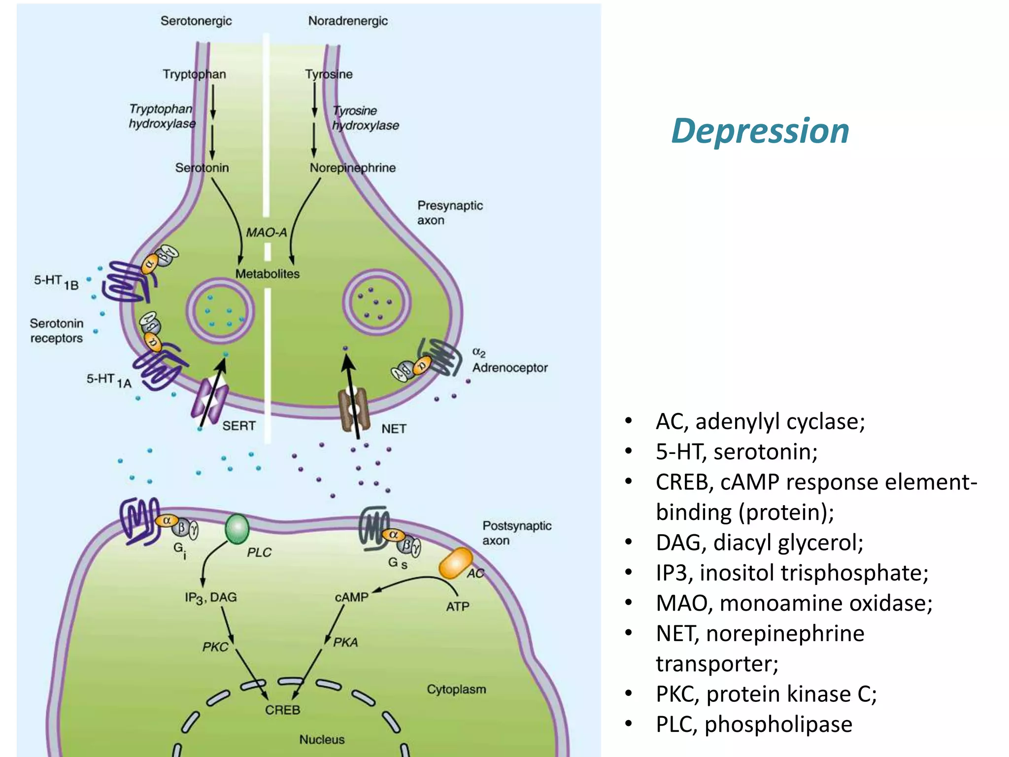 Antidepressants | PPTX