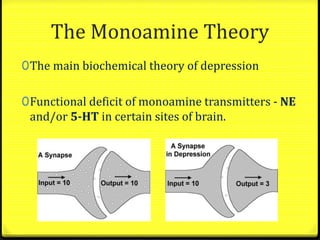 Antidepressants drugs | PPTX