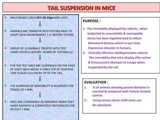 Antidepressant drugs | PPT