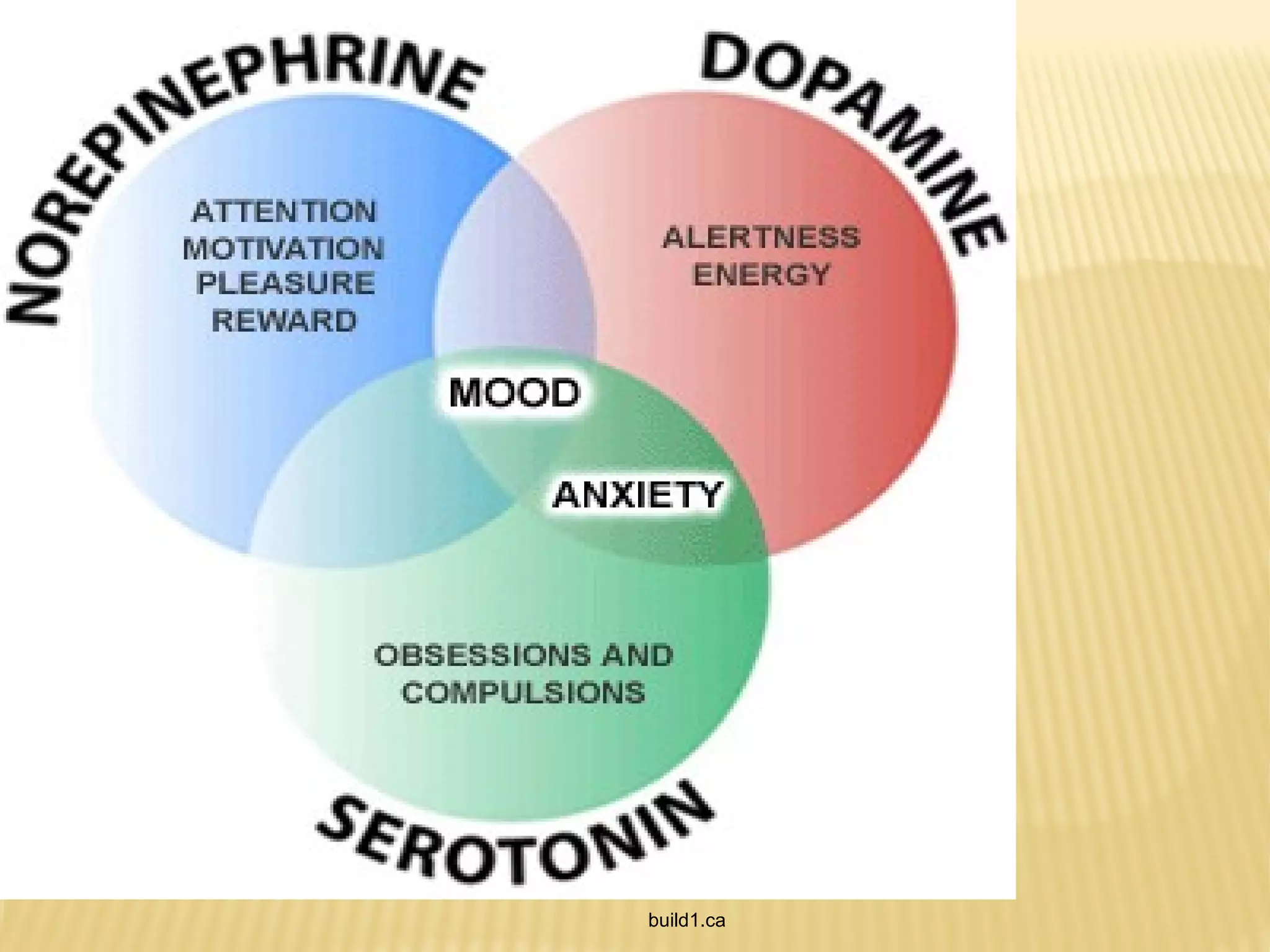 Antidepressants & side effects + serotonin syndrome vs | PPT