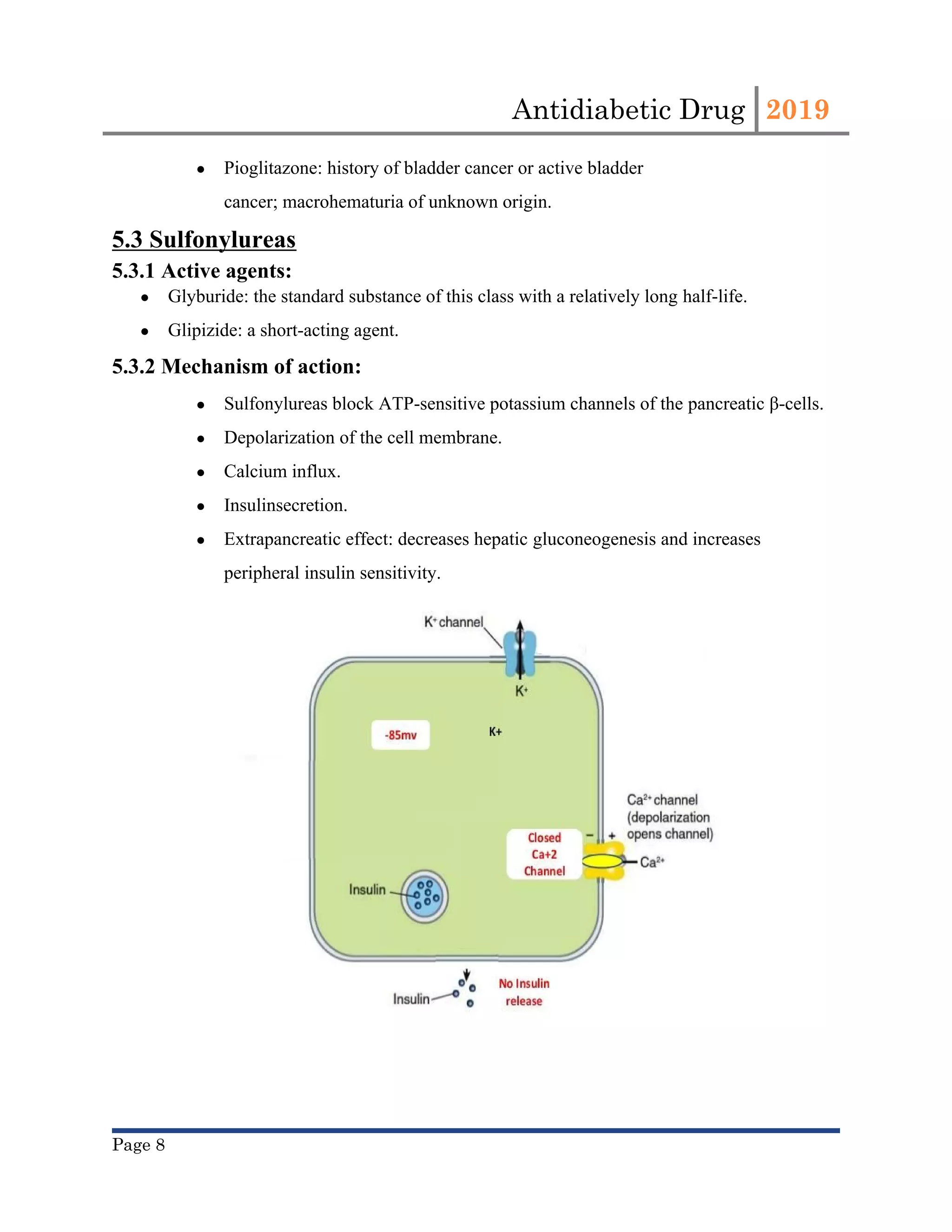 Antidiabetic drug-1 | PDF