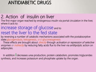 Antidiabetic drug Patho.ppt