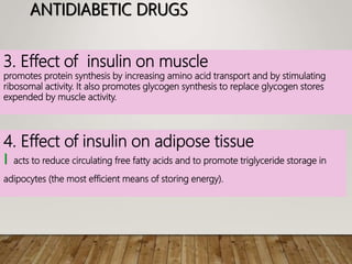 Antidiabetic drug Patho.ppt