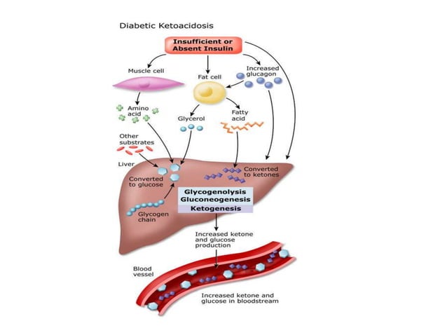Antidiabetic drugs | PPTX