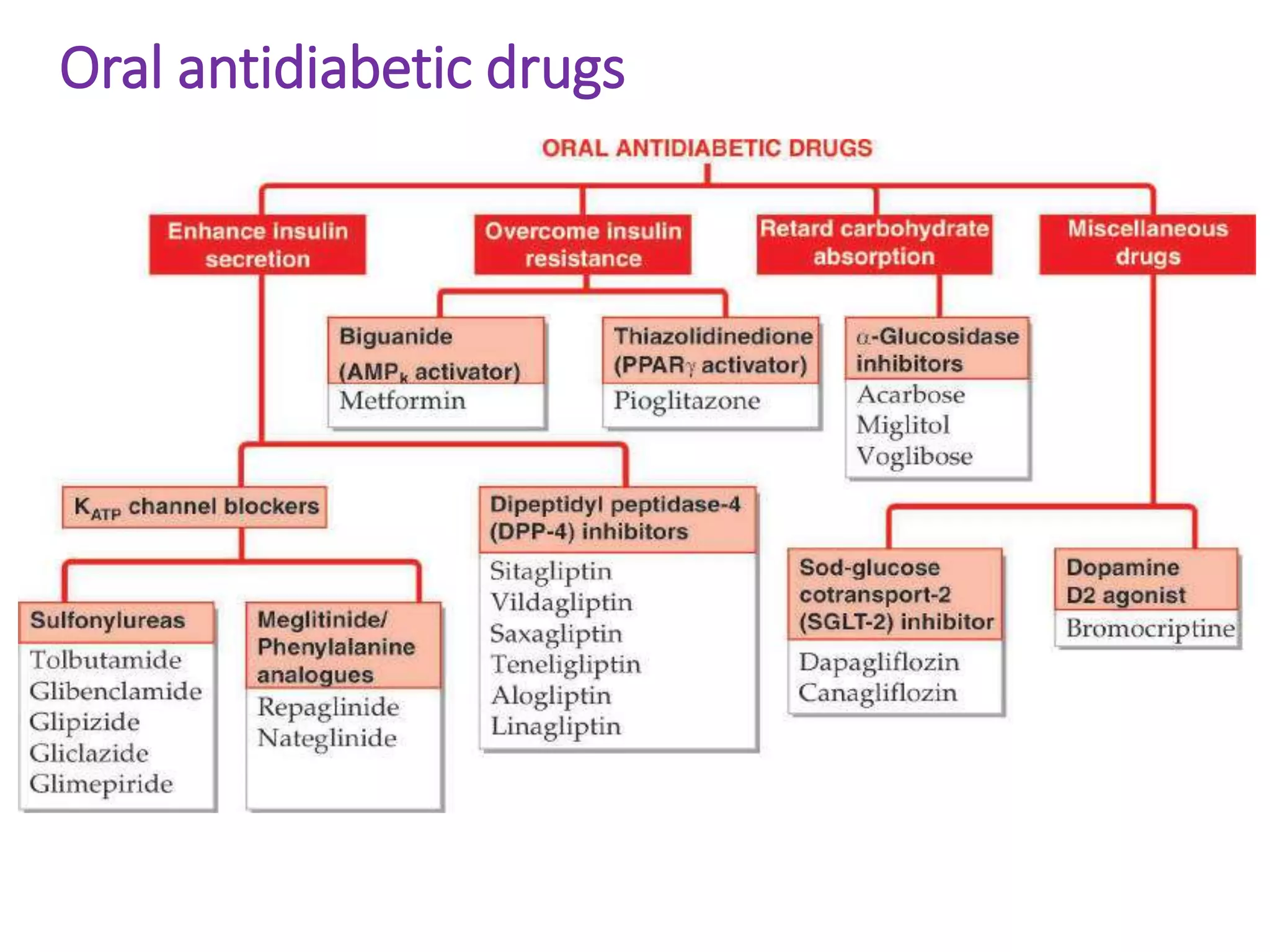 Antidiabetic drugs | PPTX | Diabetes | Diseases and Conditions
