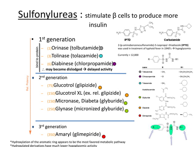 anti diabetic drugs.ppt
