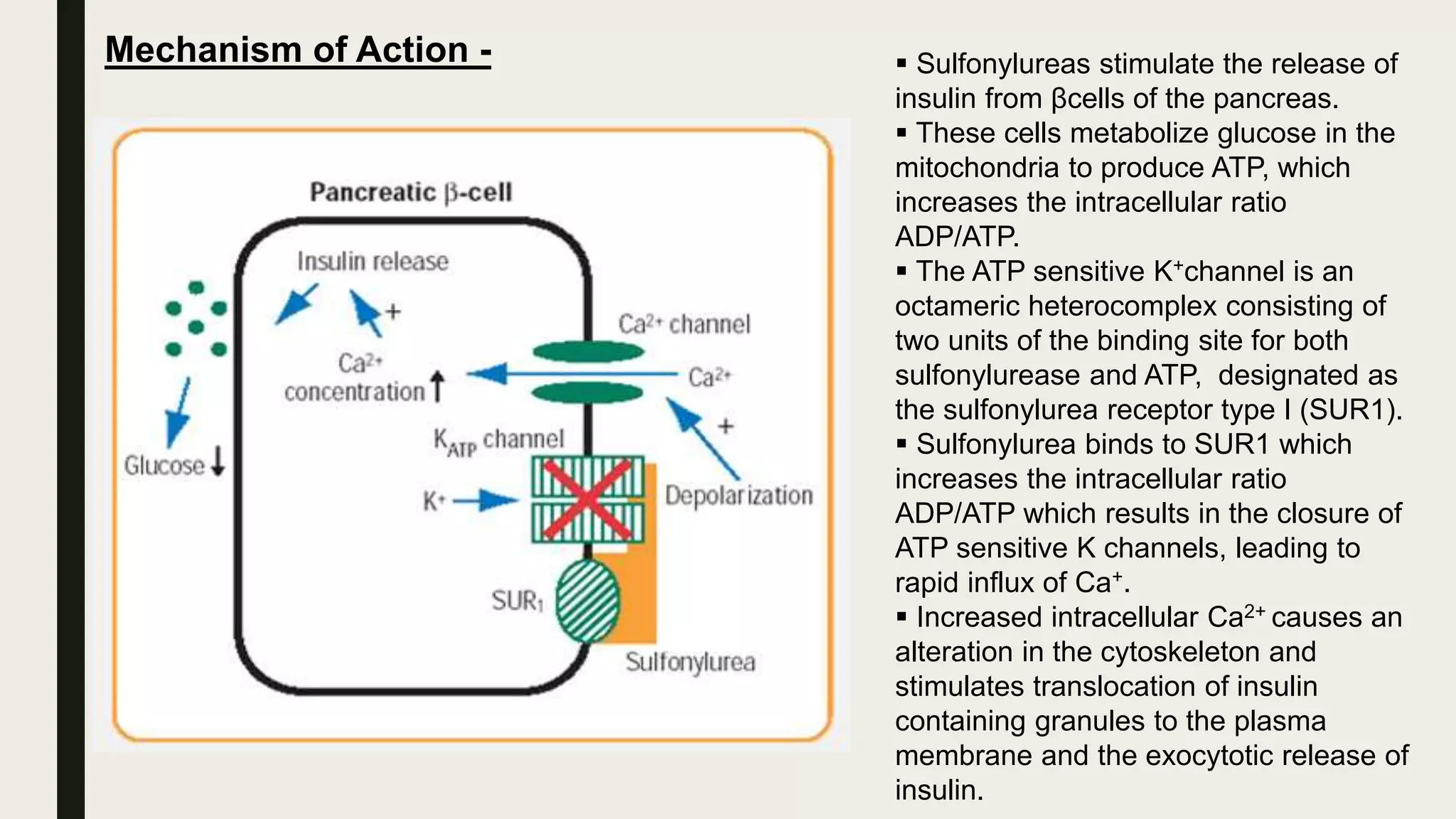 Anti diabetic drugs | PPTX