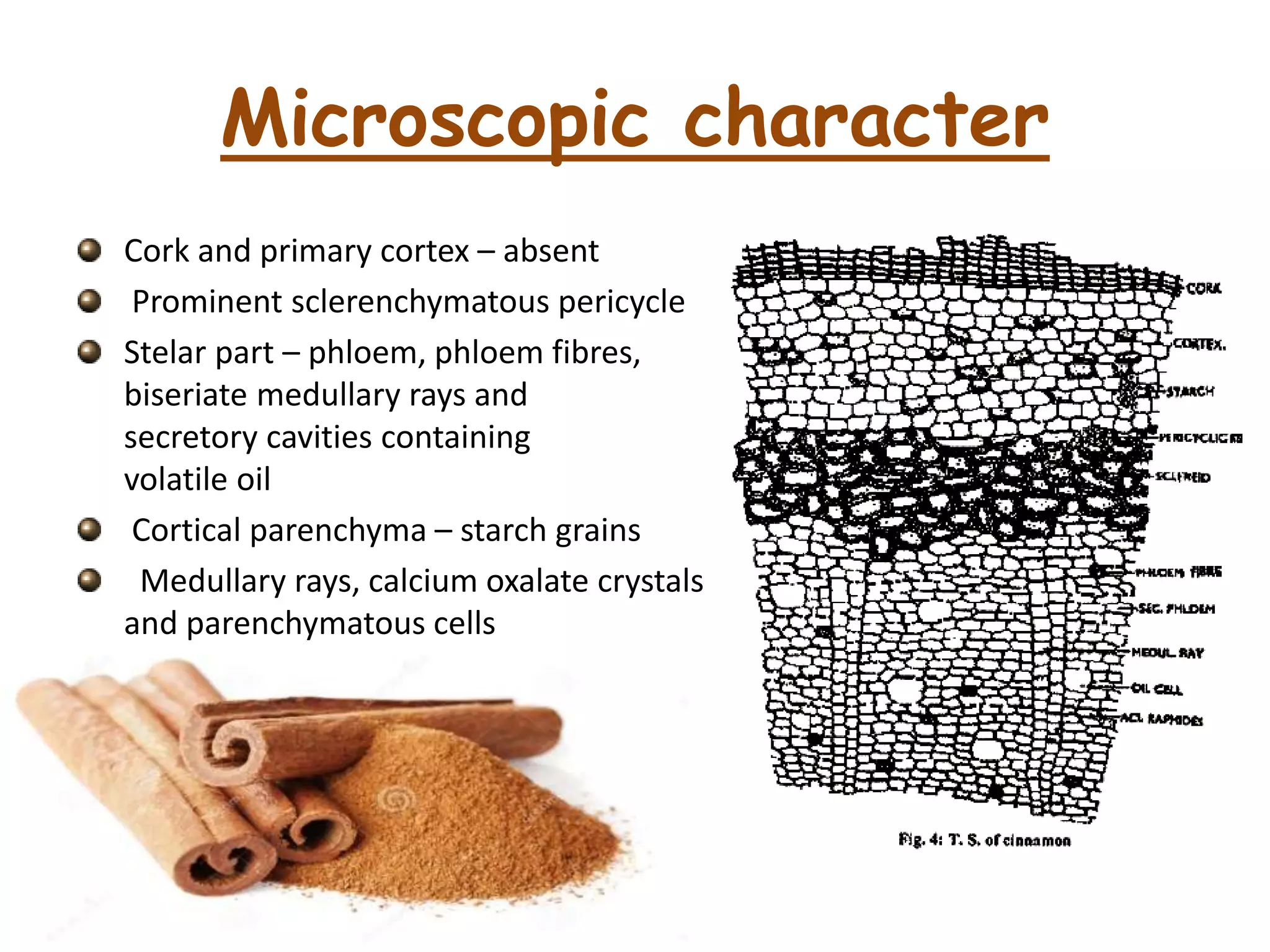 Antidiabetic properties of cinammon | PPTX