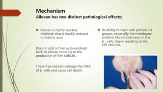 Antidiabetic screening | PPTX