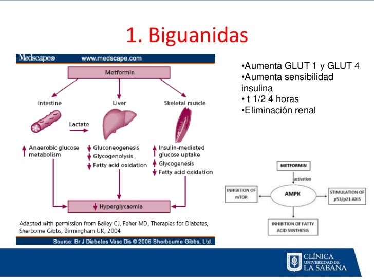 Antidiabéticos orales