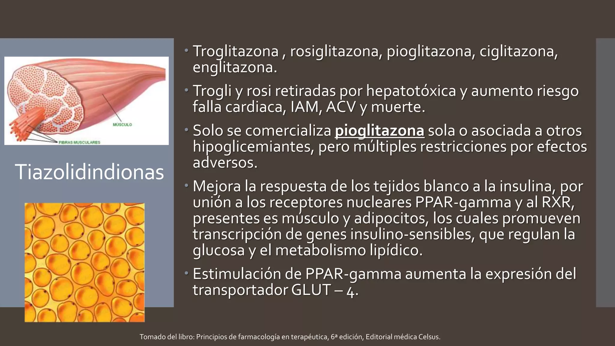 Antidiabéticos - hipoglicemiantes orales | PPTX