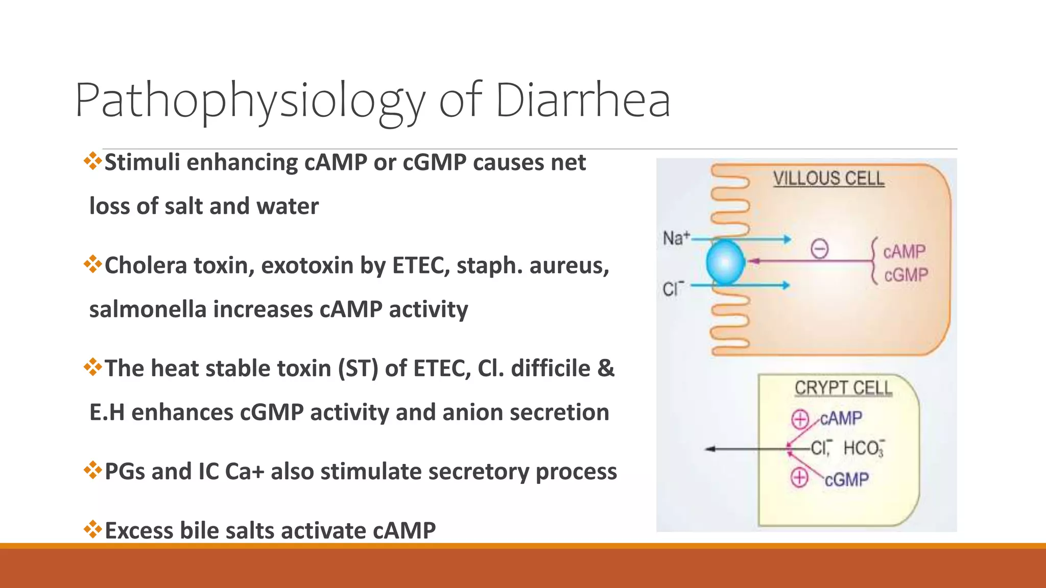 Antidiarrheal agents and Drugs for Constipation ppt - By Dr L V ...