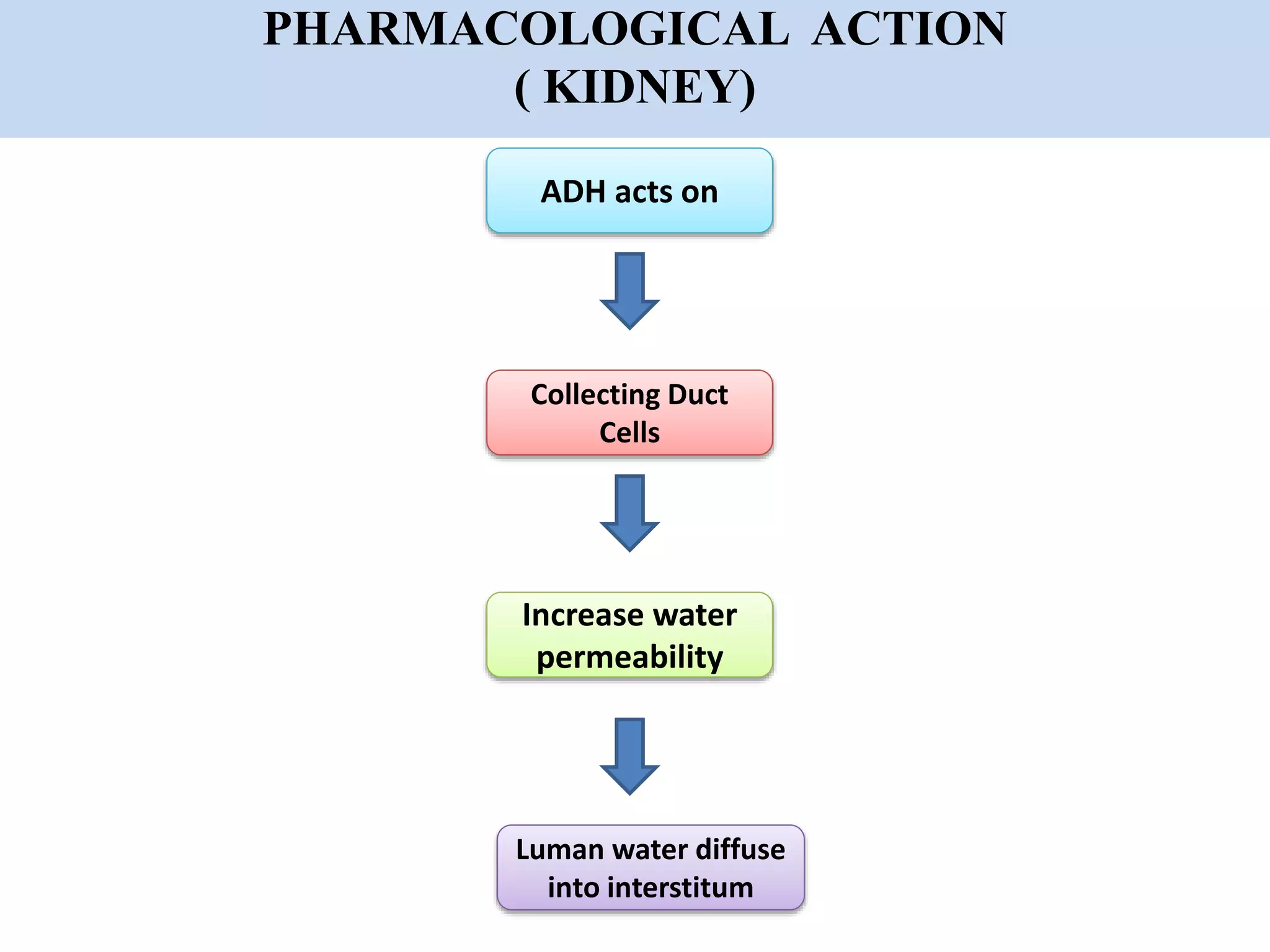 Anti diuretic drugs | PPTX