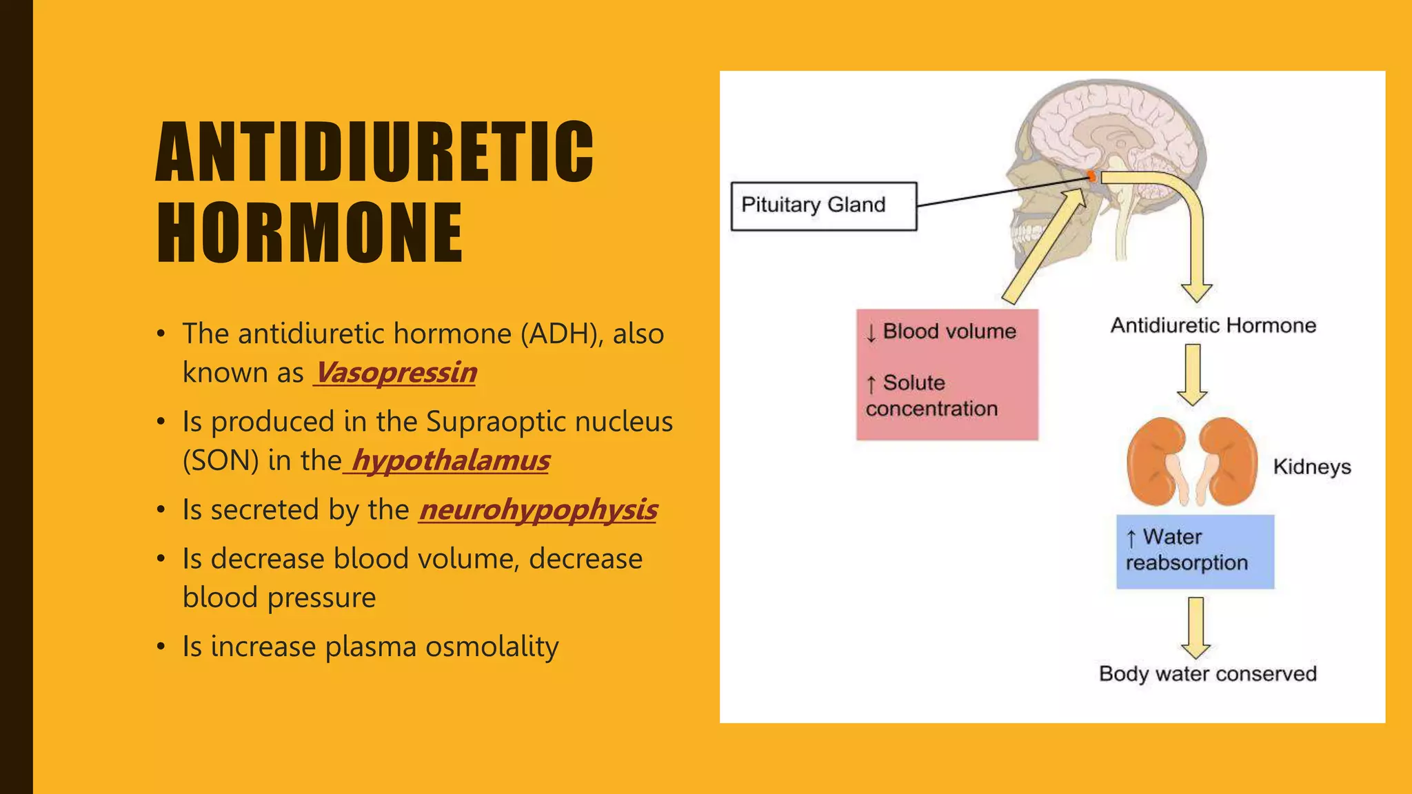 ANTIDIURETIC HORMONE pptx | PPTX