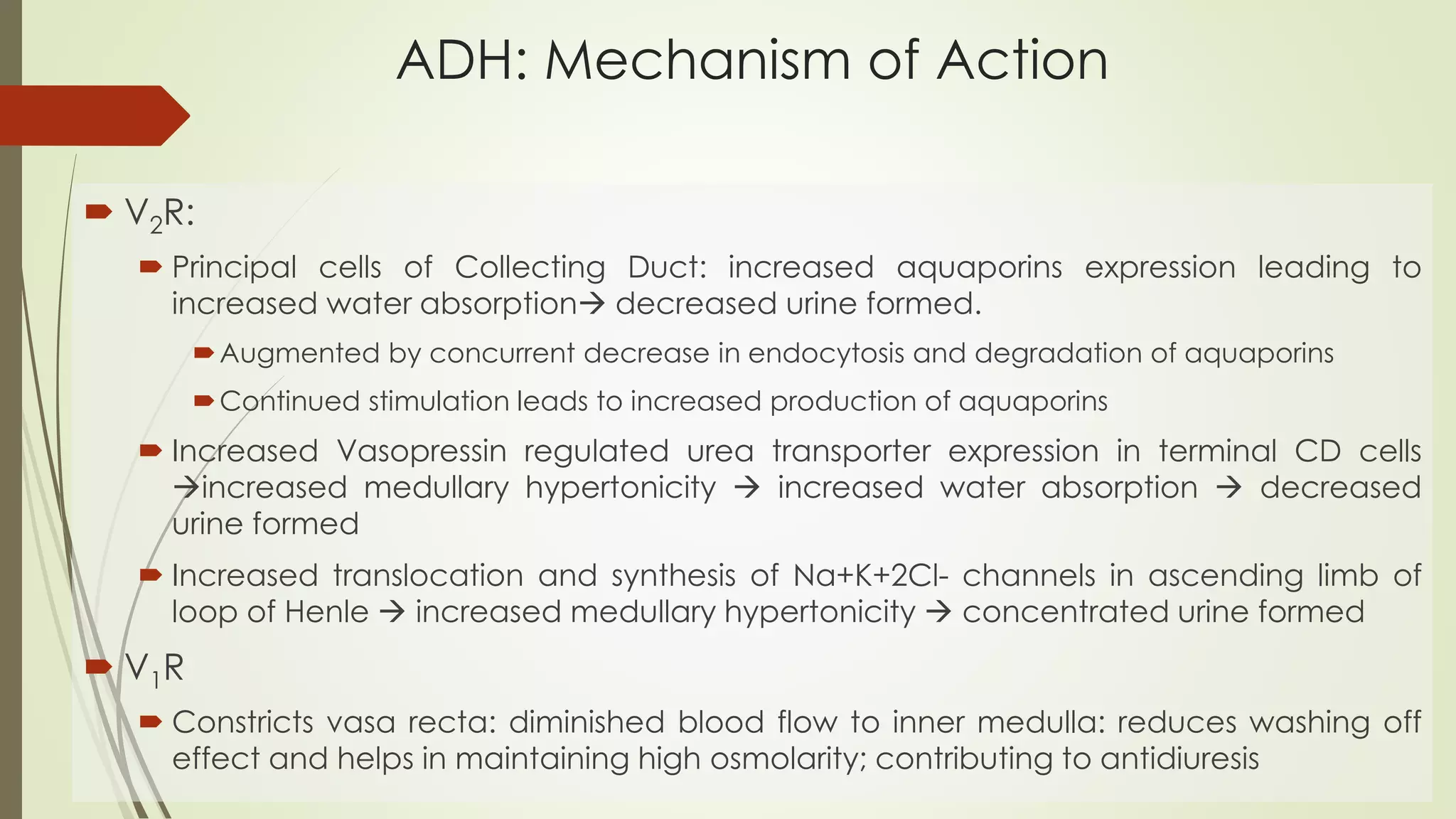 Antidiuretics | PPTX