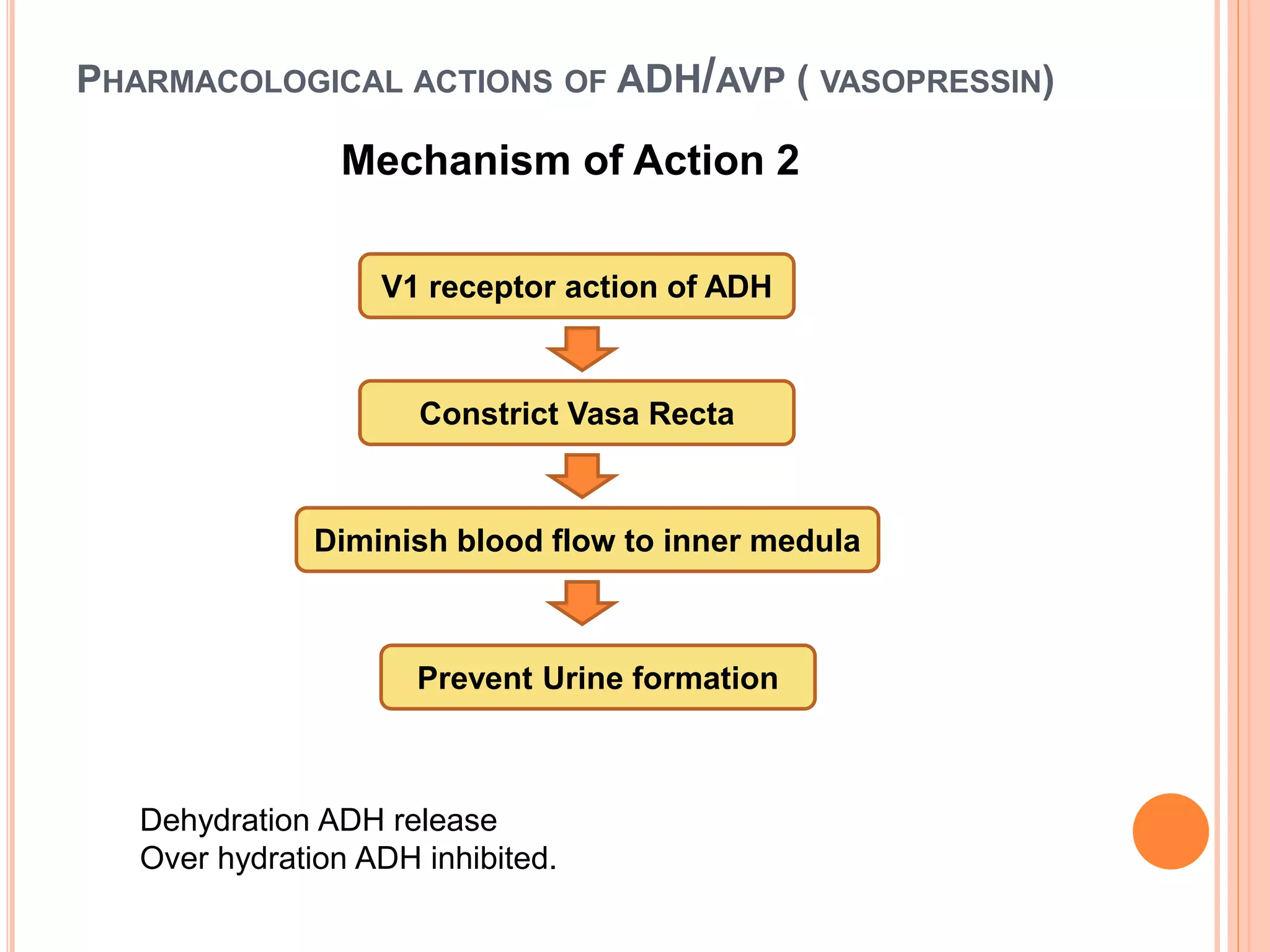 Anti diuretics drugs | PPTX
