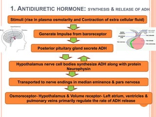 Anti diuretics drugs | PPTX