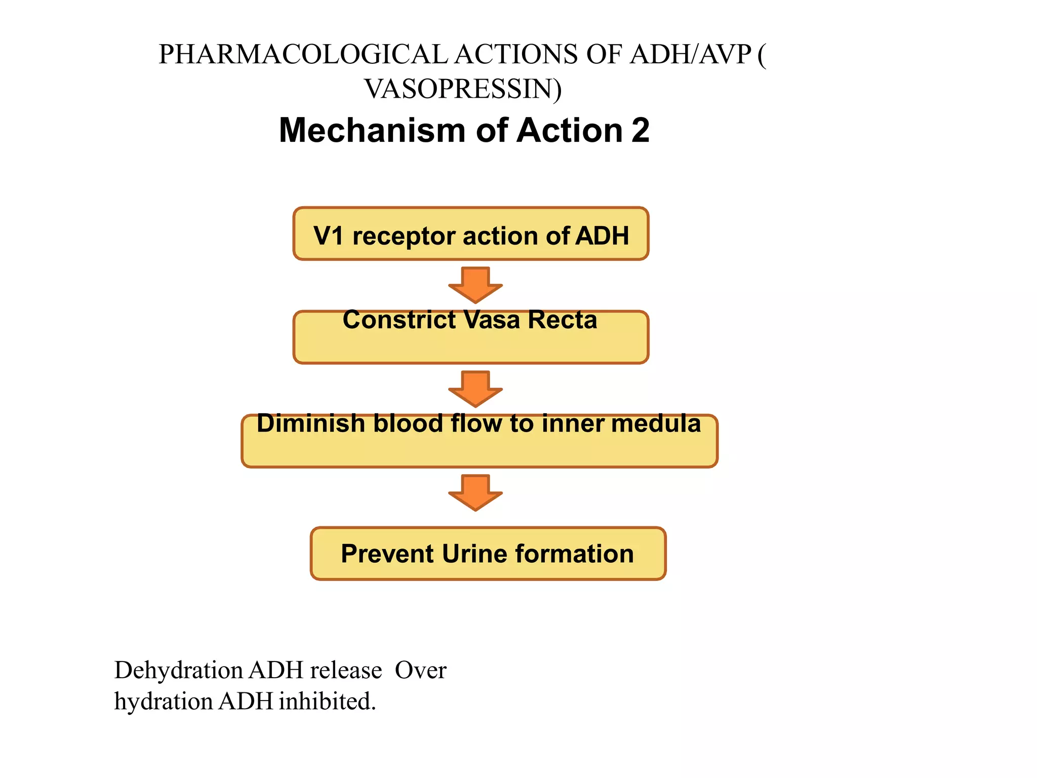 Antidiuretics | PPTX