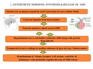 Antidiuretics | PPTX