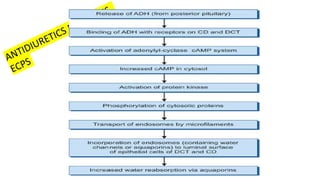 ANTIDIURETICS.pptx FIFTH SEMESTER B.PHARM | PPTX
