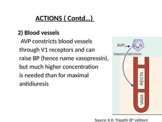 Antidiuretics.pptx based on goodman and gilmans book | PPTX